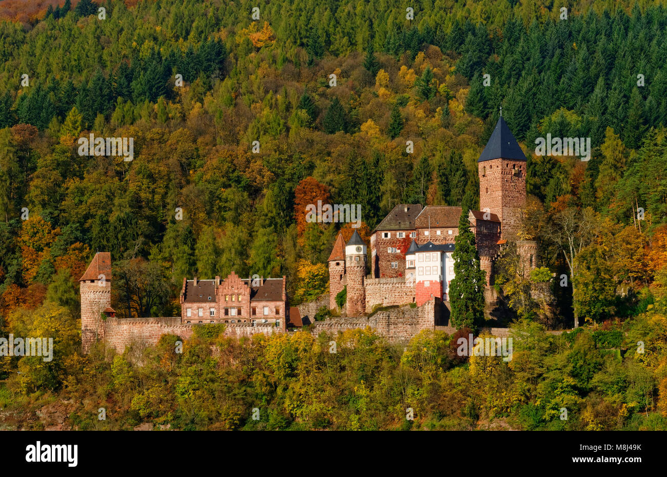 Zwingenberg Castle above the Neckar Valley, Neckar-Odenwald District ...