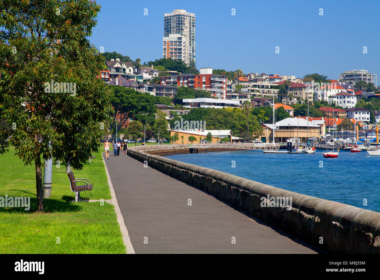 Rushcutters bay Sydney NSW Australia Stock Photo - Alamy