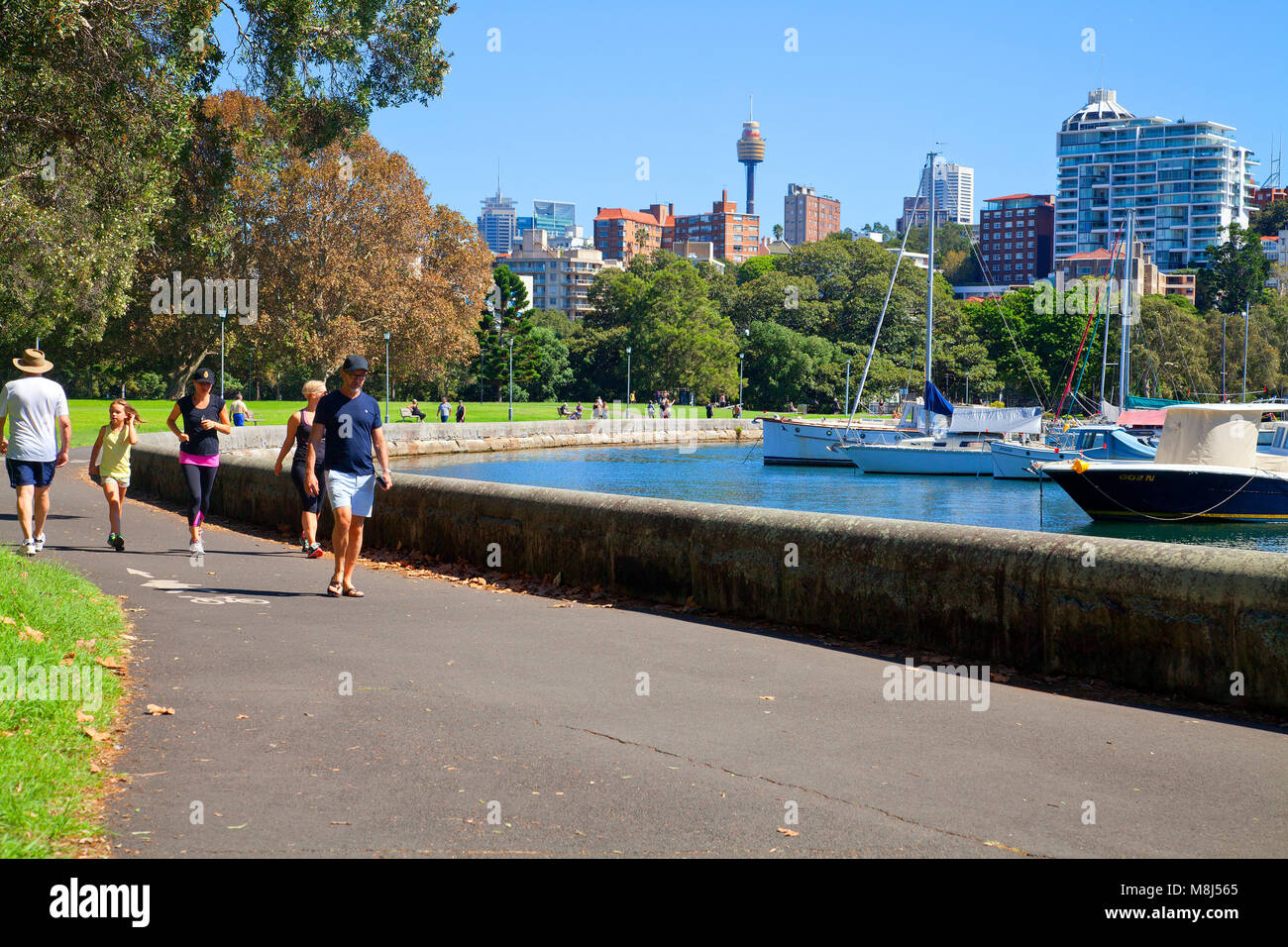 Rushcutters bay Sydney NSW Australia Stock Photo - Alamy