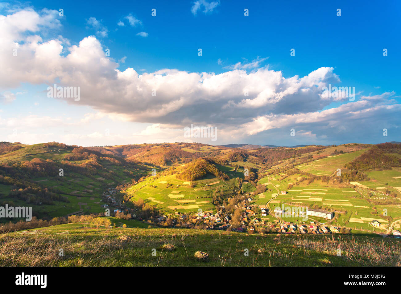 Sunny spring day. Green mountain valley. Beautiful spring landscape ...