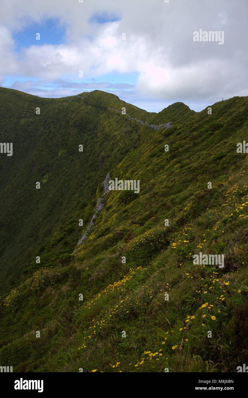 Faial Caldeira, inside the central caldera, Faial, Azores islands ...