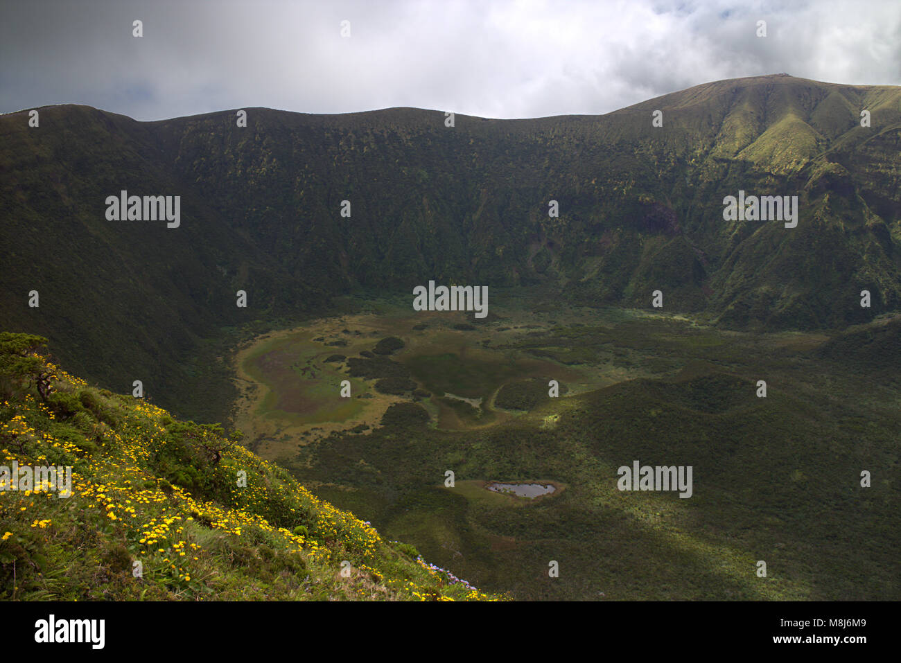 Faial Caldeira, inside the central caldera, Faial, Azores islands ...