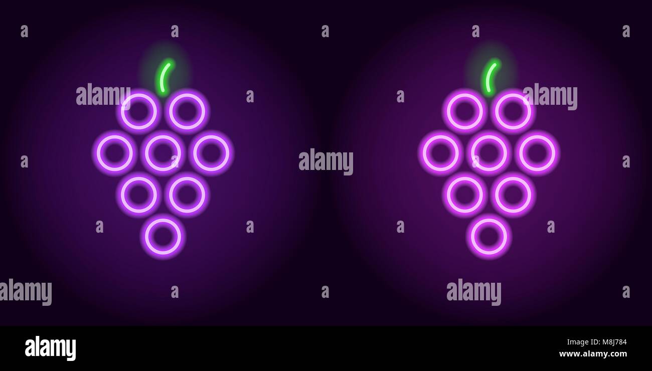 Purple and violet neon grape. Vector silhouette of neon grape vine ...