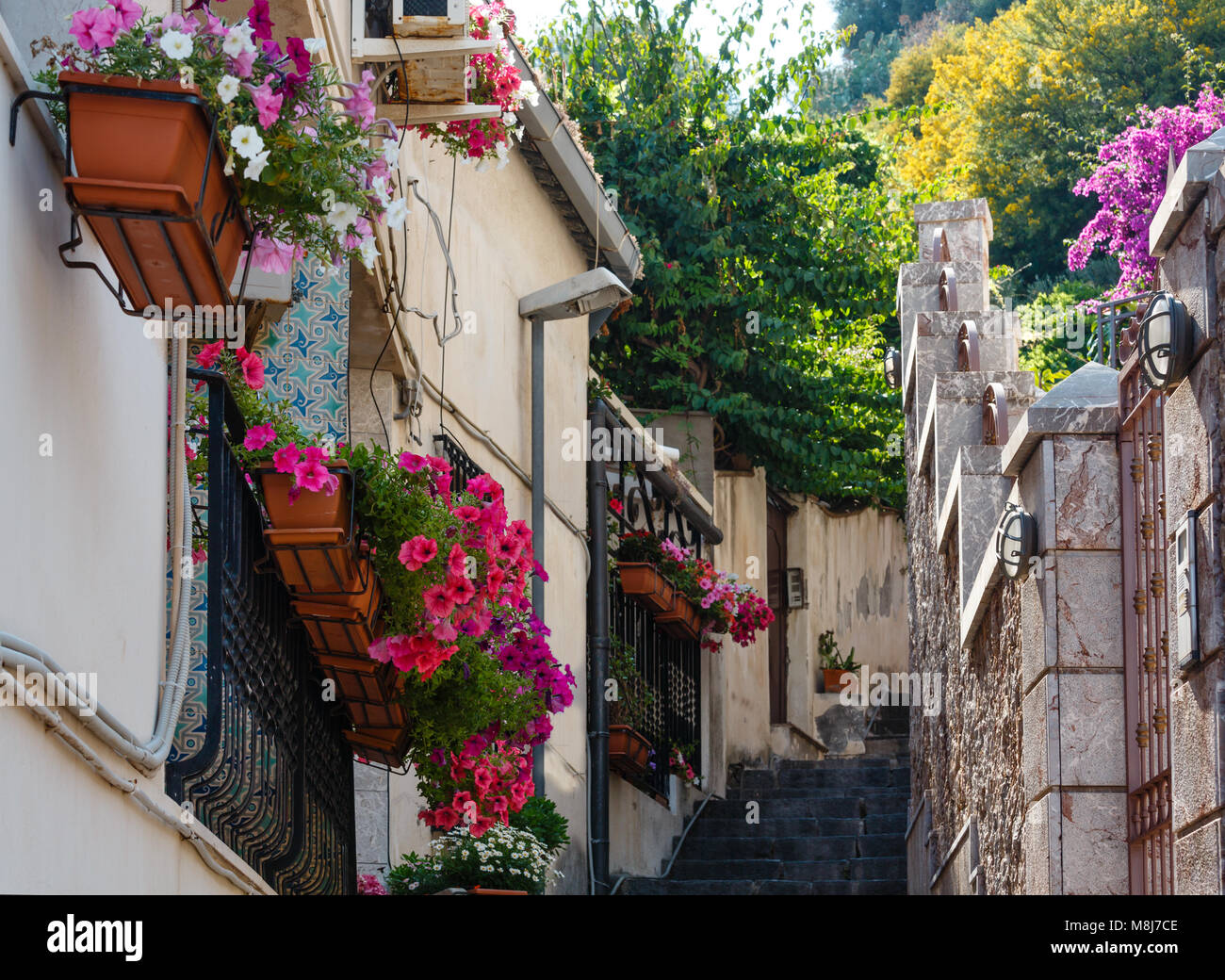 Taormina city flowers scene, Sicily, Italy Stock Photo - Alamy