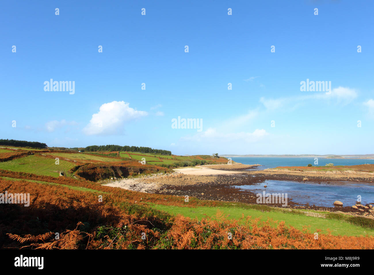 Pelistry scilly isles hi-res stock photography and images - Alamy