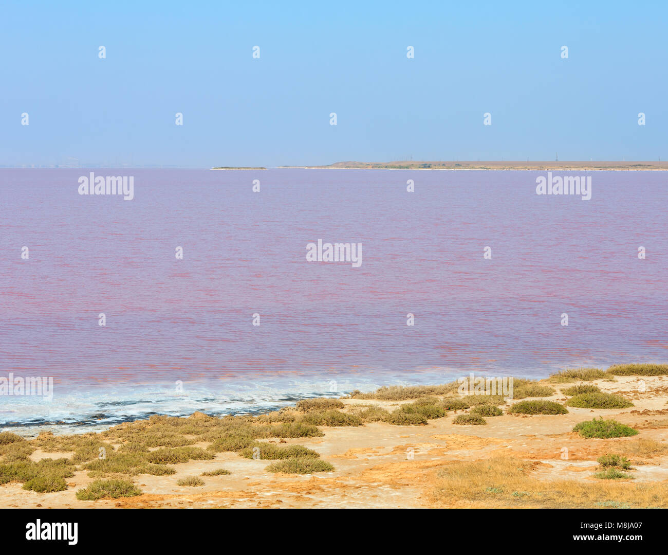 Pink extremely salty Syvash Lake, colored by microalgae. Also known as ...
