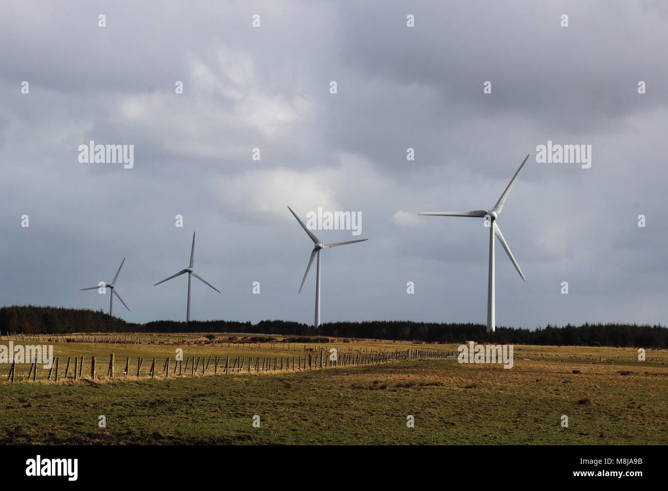 Wind turbines in rural setting, renewable energy, electricity ...