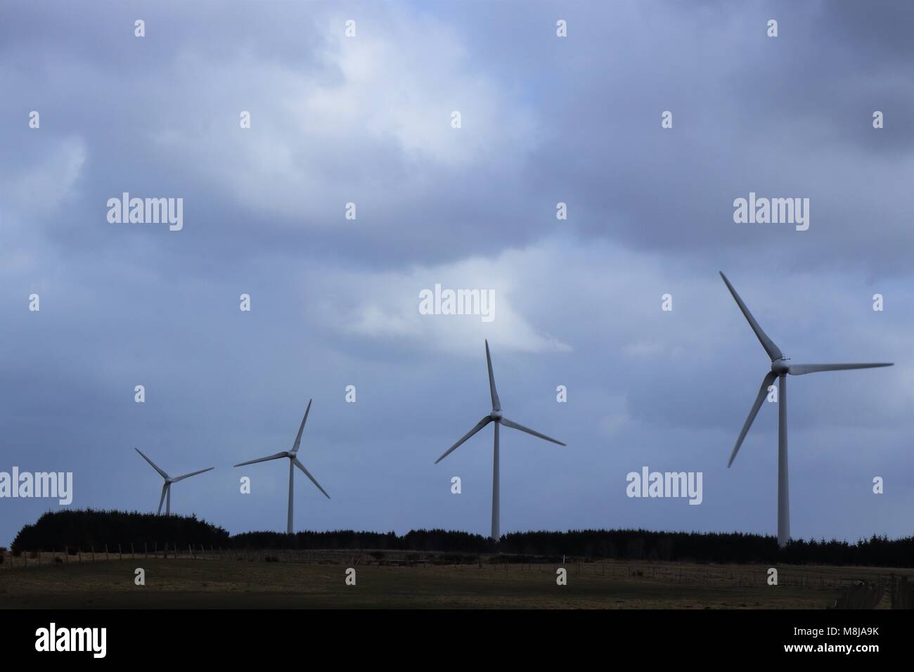 Wind turbines in rural setting, renewable energy, electricity ...
