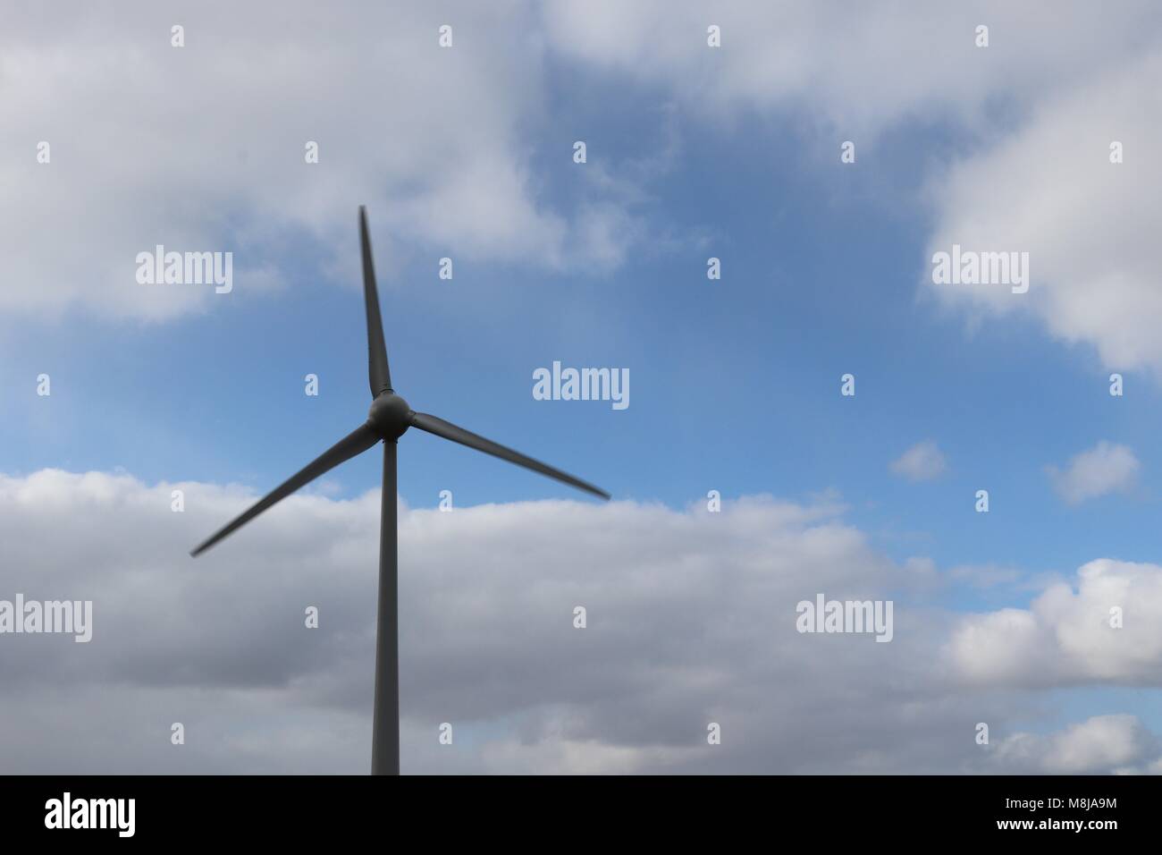 Wind turbines in rural setting, renewable energy, electricity ...