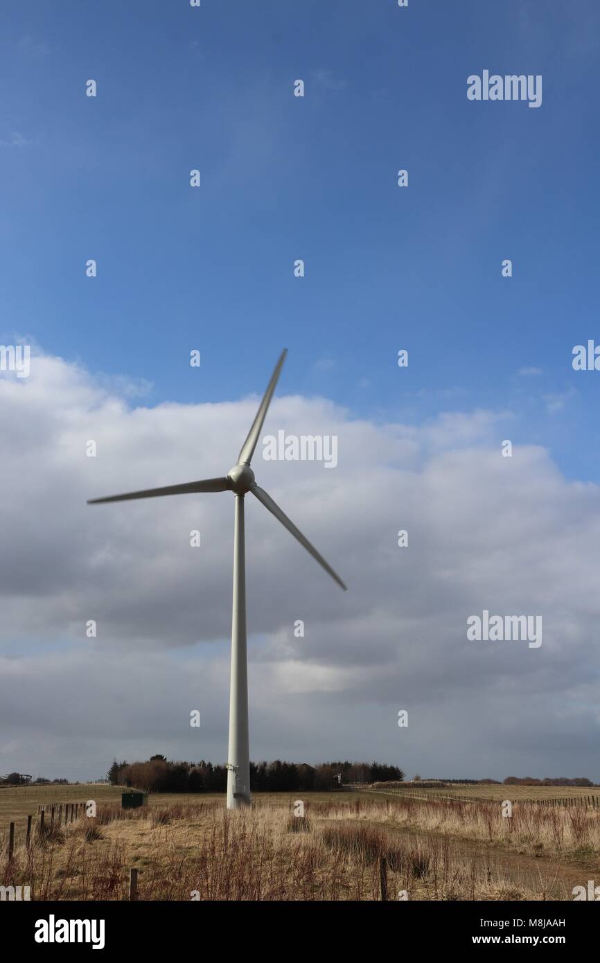 Wind turbines in rural setting, renewable energy, electricity ...