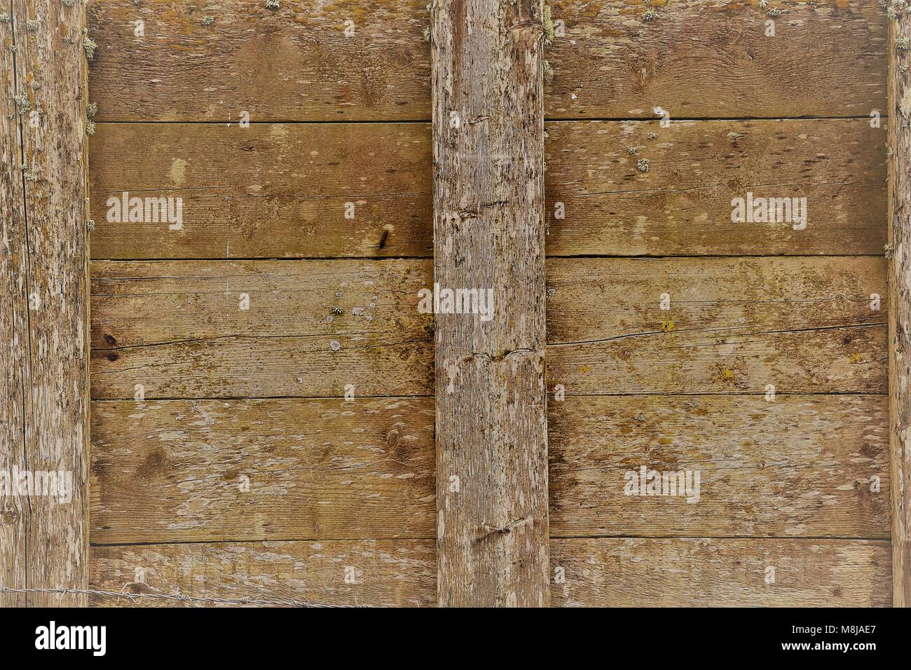 Wood texture, wood grain, plank texture, wood background, wood abstract ...