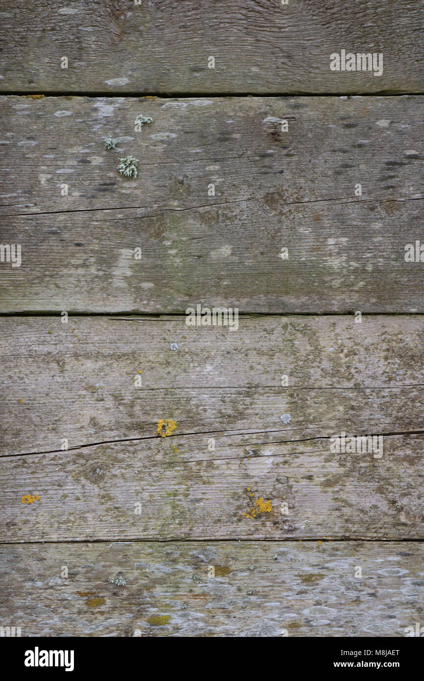 Wood texture, wood grain, plank texture, wood background, wood abstract ...