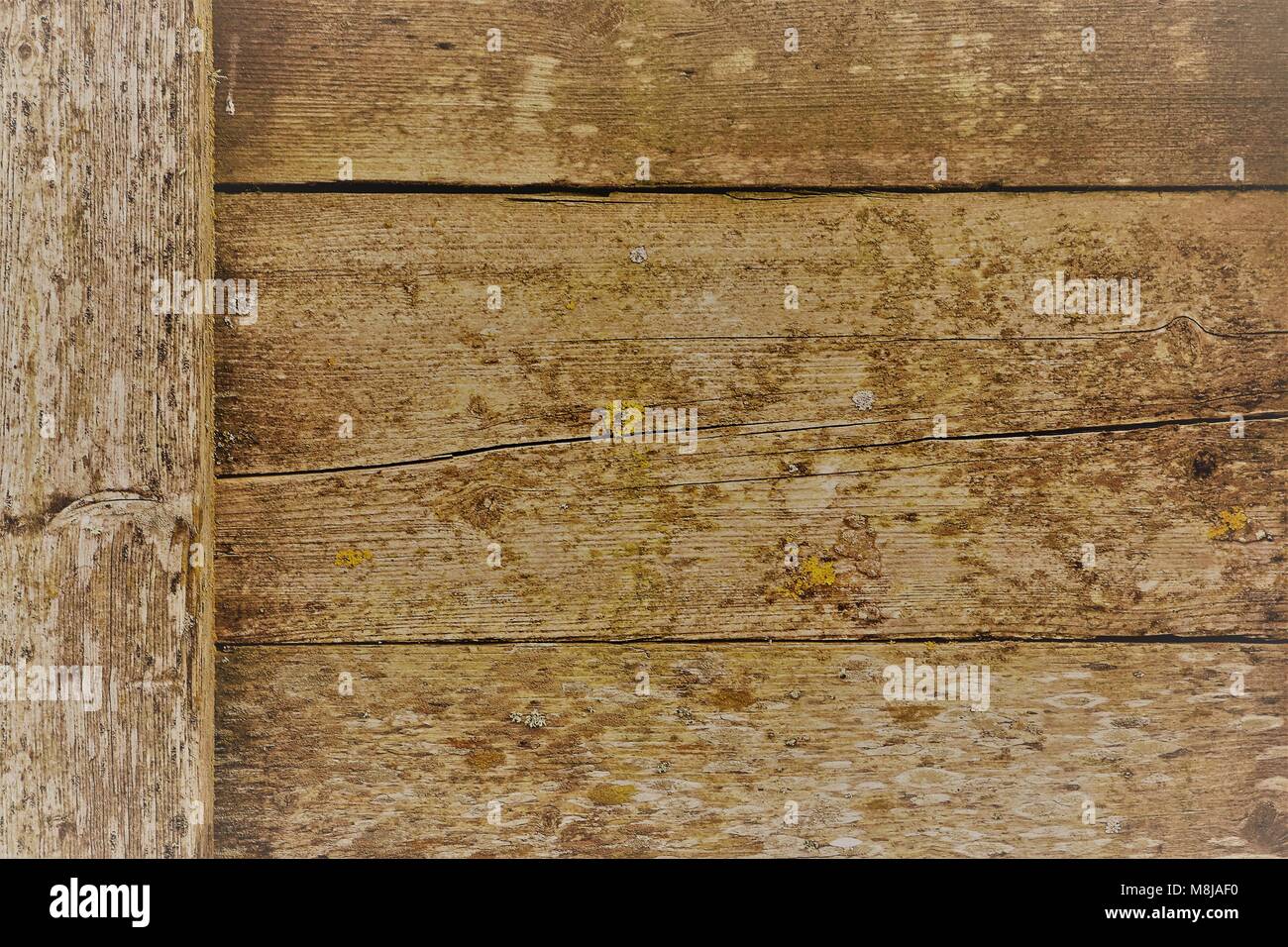 Wood texture, wood grain, plank texture, wood background, wood abstract ...