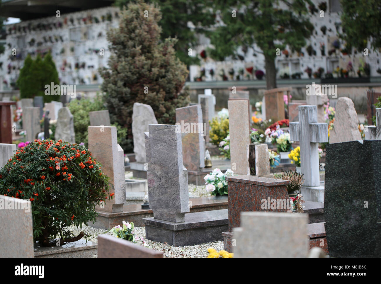 inside a cemetery with many tombs and tombstones without people Stock ...
