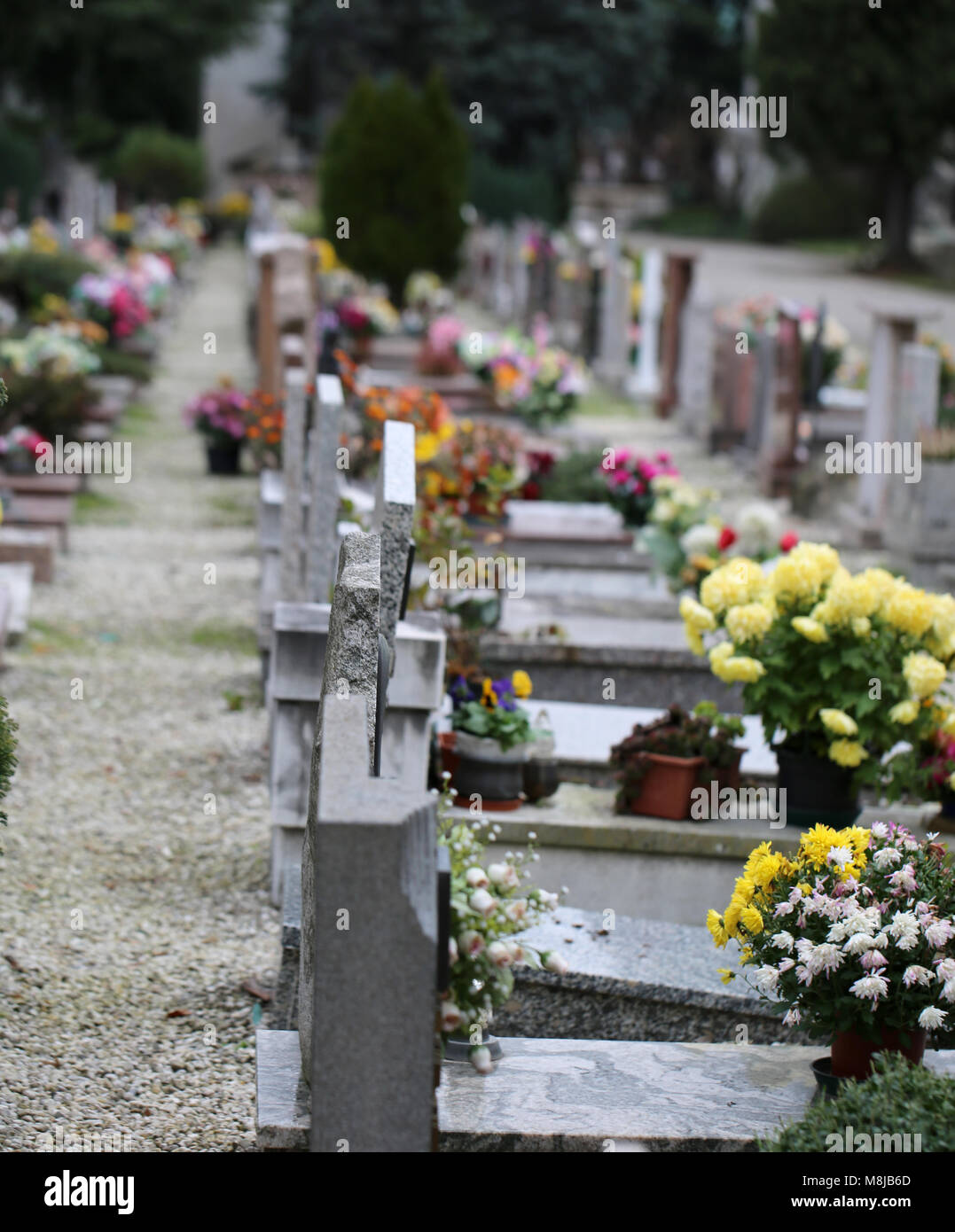inside a cemetery with many tombs and tombstones without people Stock ...