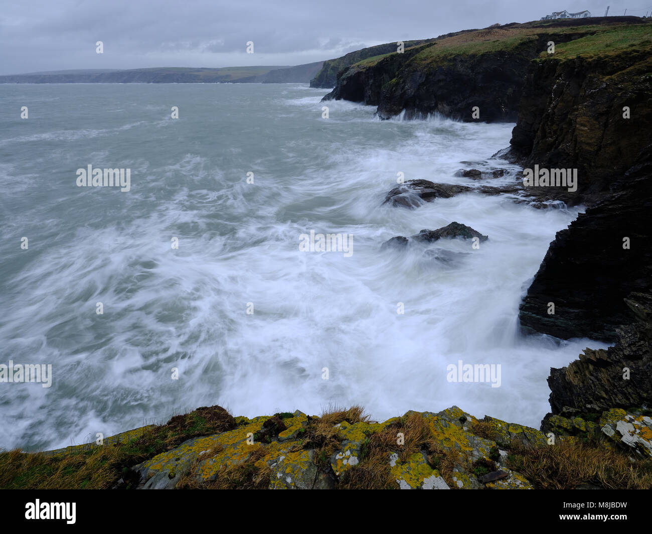 Dramatic coastline and headland at Port Issac Cornwall Stock Photo - Alamy