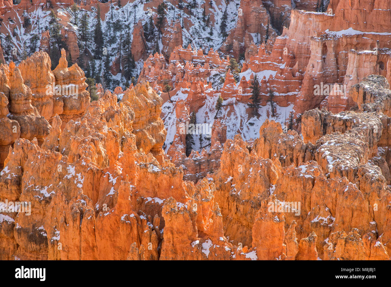 Bryce Canyon National Park Utah Winter Landscape Stock Photo - Alamy