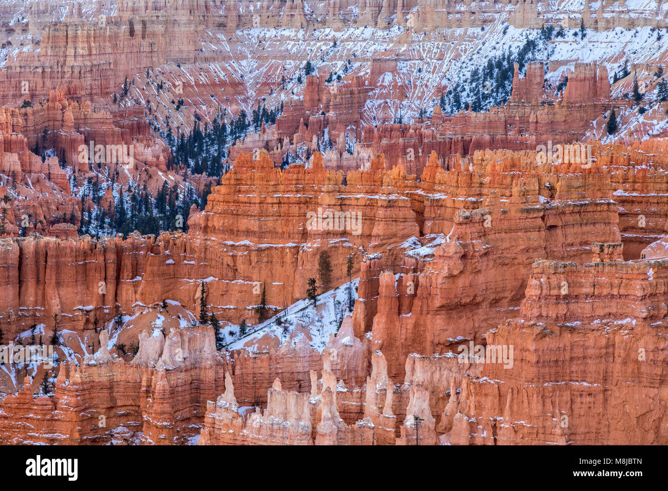 Bryce Canyon National Park Utah Winter Landscape Stock Photo - Alamy