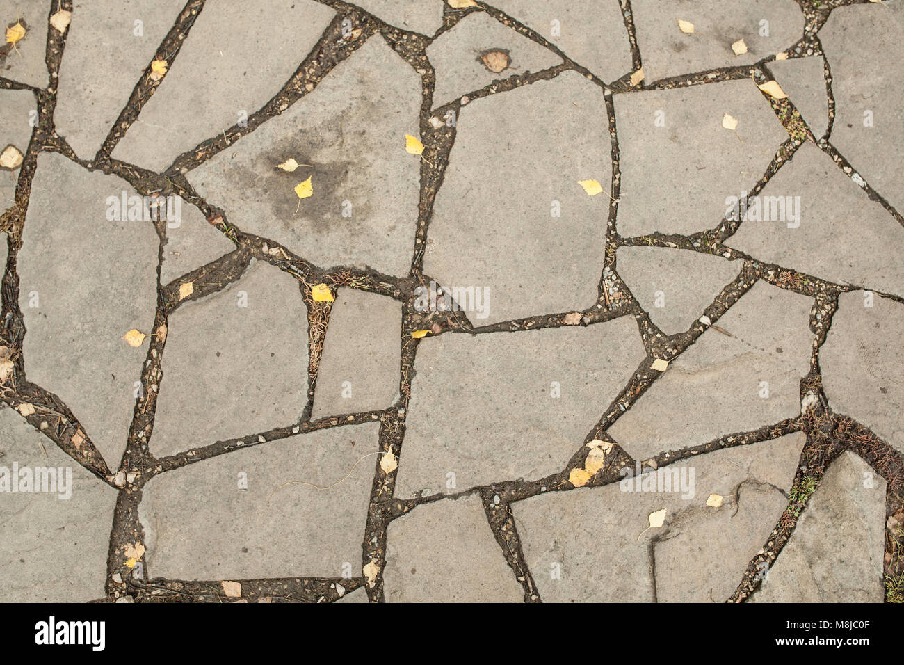 Stone floor pattern with a crack gray background close up Stock Photo ...