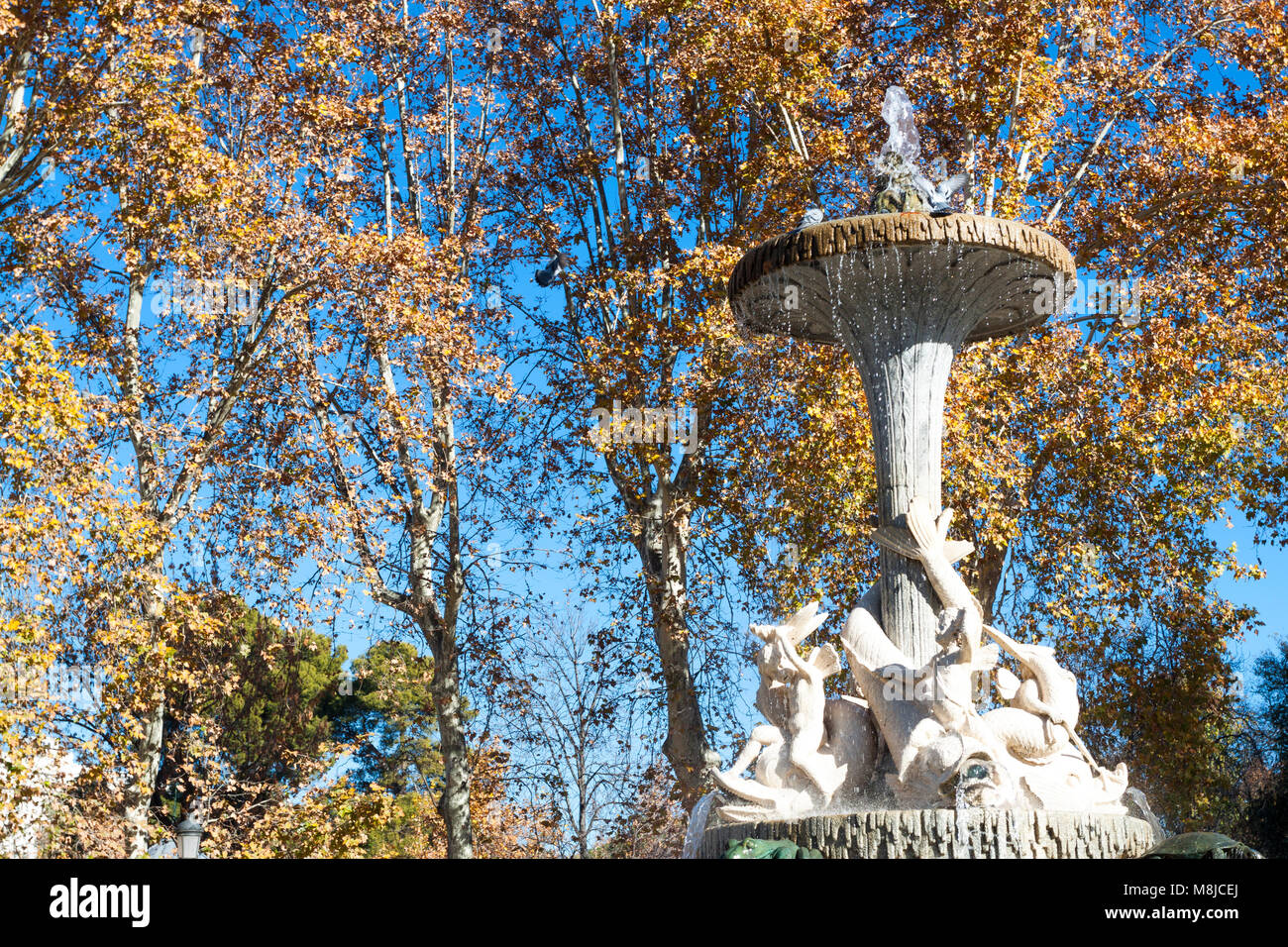 Inside of Retiro park. Madrid. Spain Stock Photo - Alamy