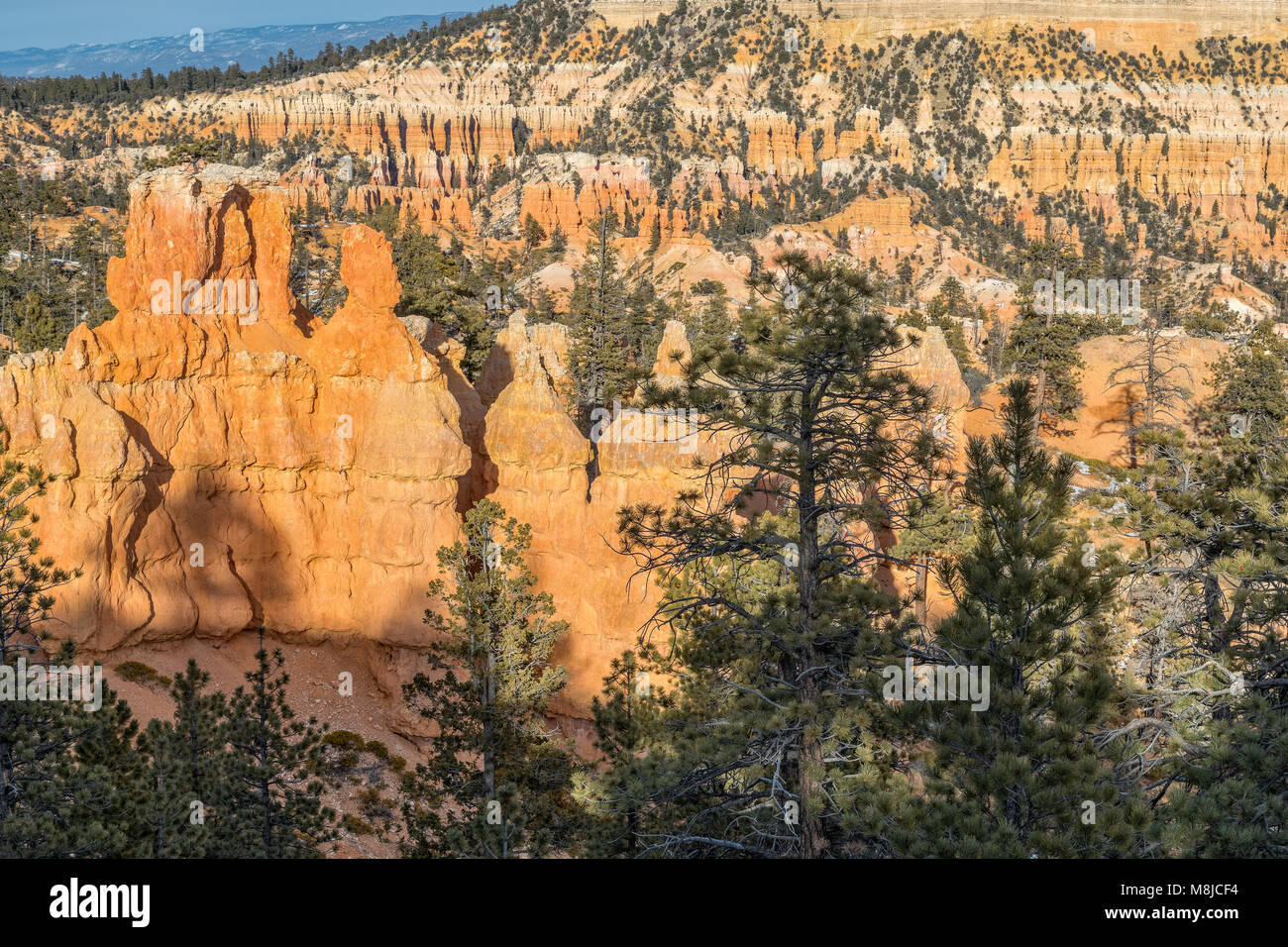 Bryce Canyon National Park Utah Winter Landscape Stock Photo - Alamy