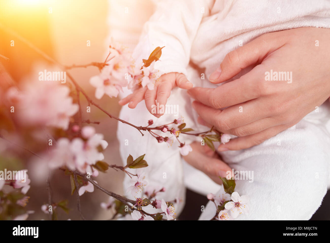 Baby touching flowers. children's hands closeup Mother hold child near ...