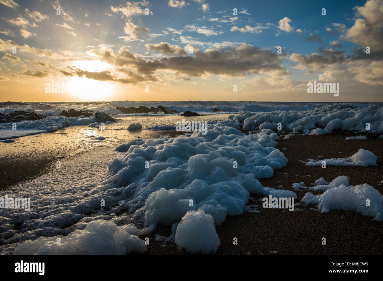 Sea foam created by the agitation of seawater on the beach at sunset ...