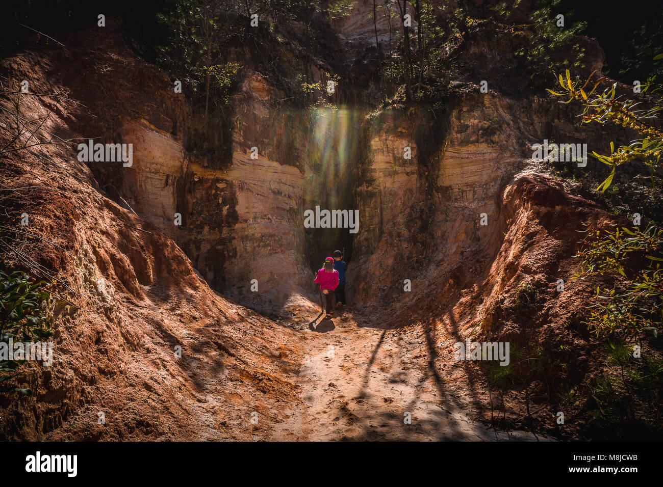 Discover nature hi-res stock photography and images - Alamy