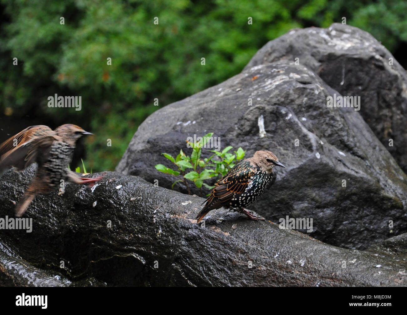 Hallett sanctuary view hi-res stock photography and images - Alamy