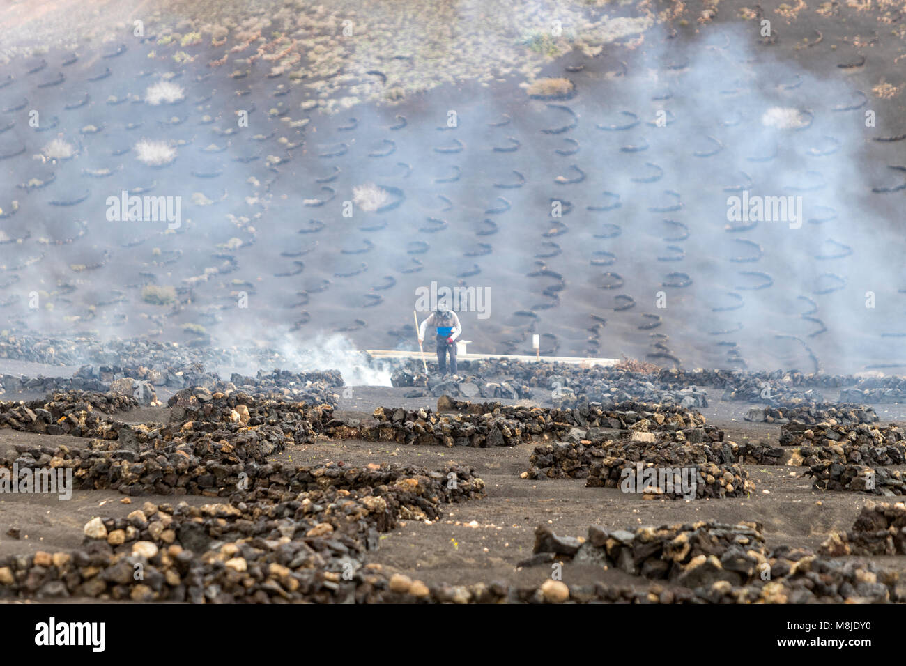 Burning vineyards hi-res stock photography and images - Alamy