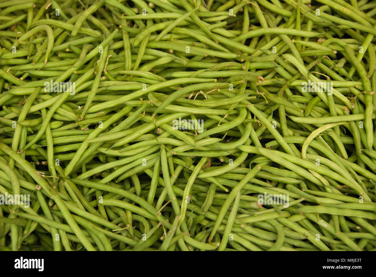 Fresh green beans Stock Photo - Alamy
