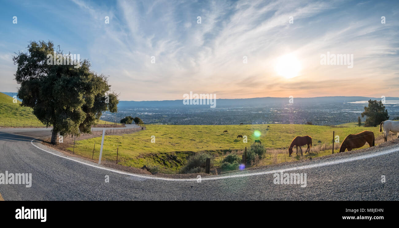 Sharp Curve and Downhill to Silicon Valley with Farm and Horses on the ...