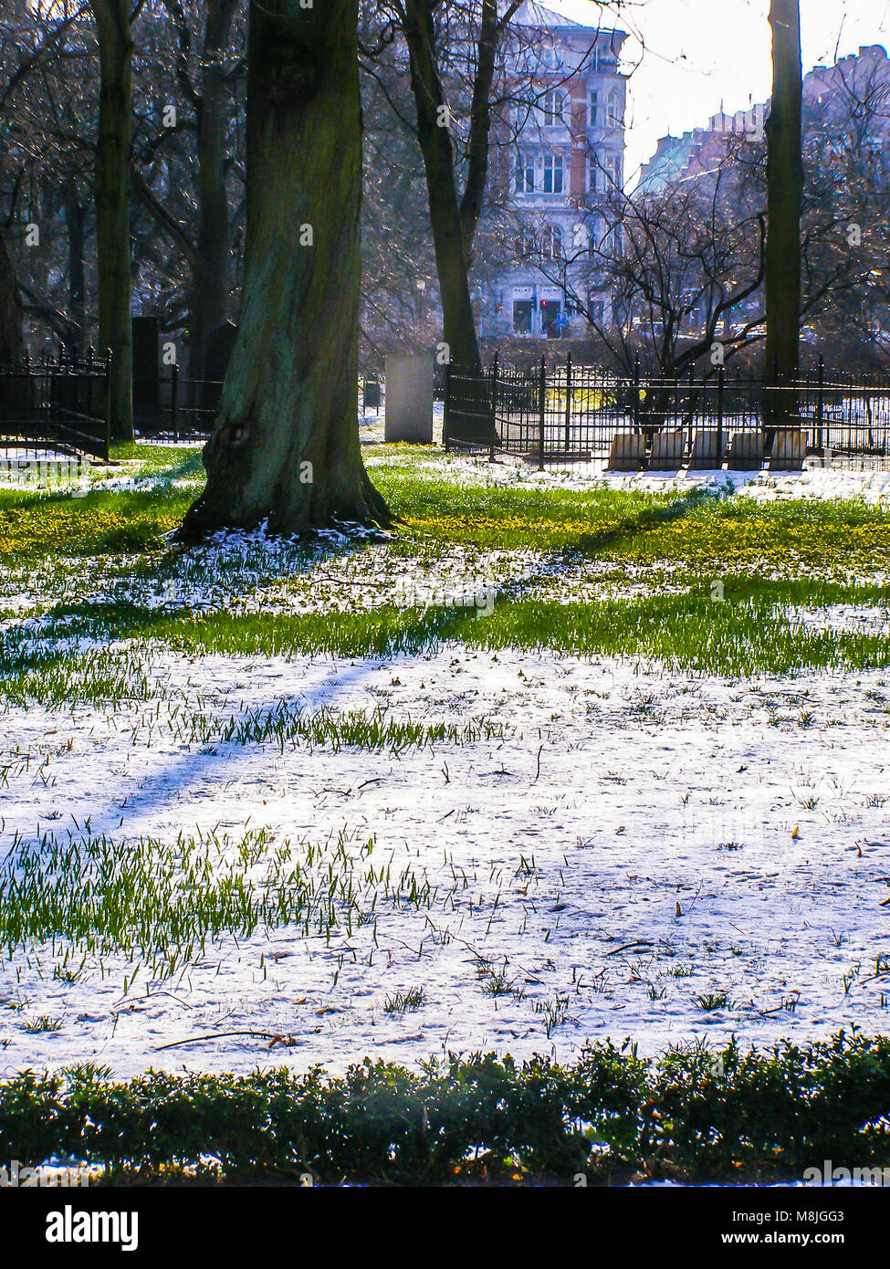 Malmo sweden winter hi-res stock photography and images - Alamy
