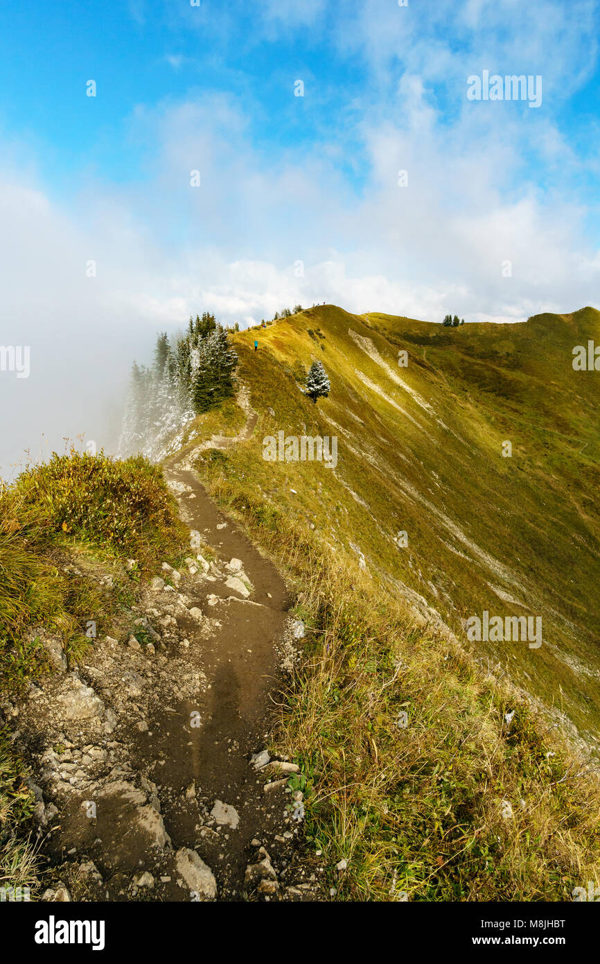 Hiking trail in the mountain landscape of the Allgau Alps on the border ...