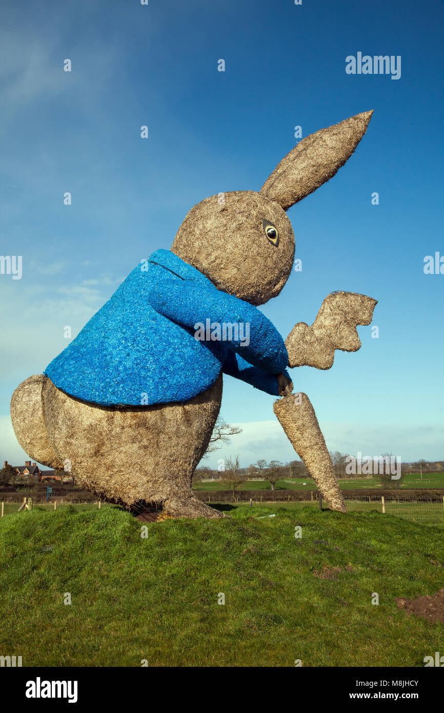 38 feet high Straw model of Beatrix Potters Peter Rabbit built to mark ...