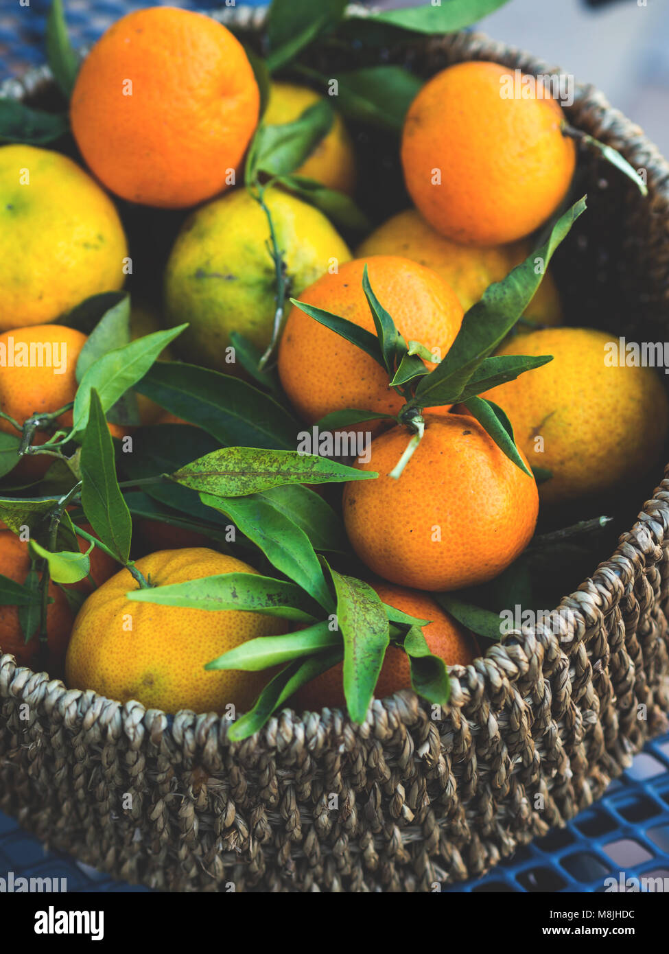 Italian tangerines in a basket outdoors. Fresh harvest Stock Photo - Alamy