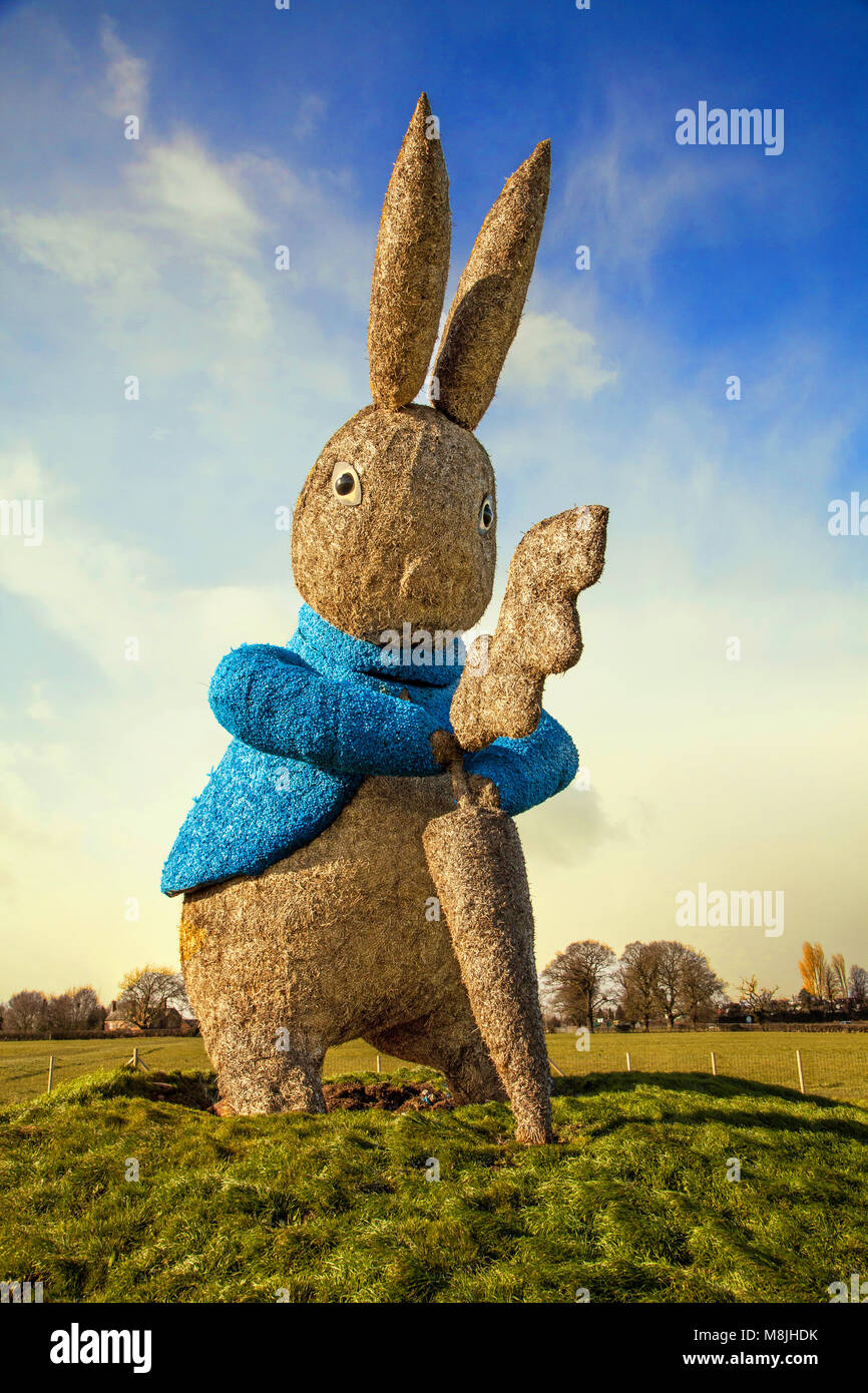 Rabbit Model High Resolution Stock Photography and Images - Alamy