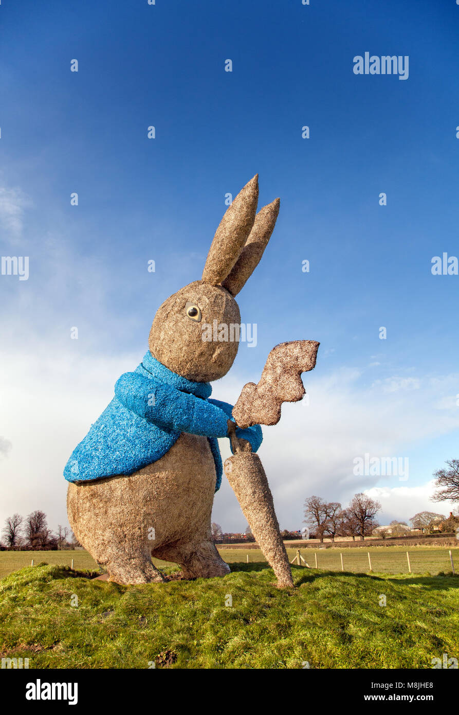 Beatrix potter's peter rabbit hi-res stock photography and images - Alamy