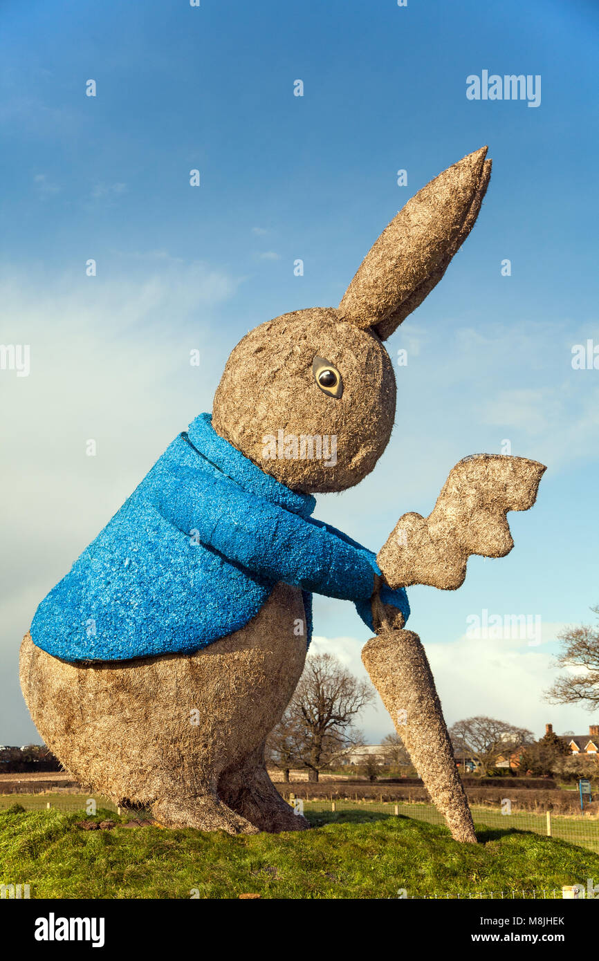 Rabbit Model High Resolution Stock Photography and Images - Alamy