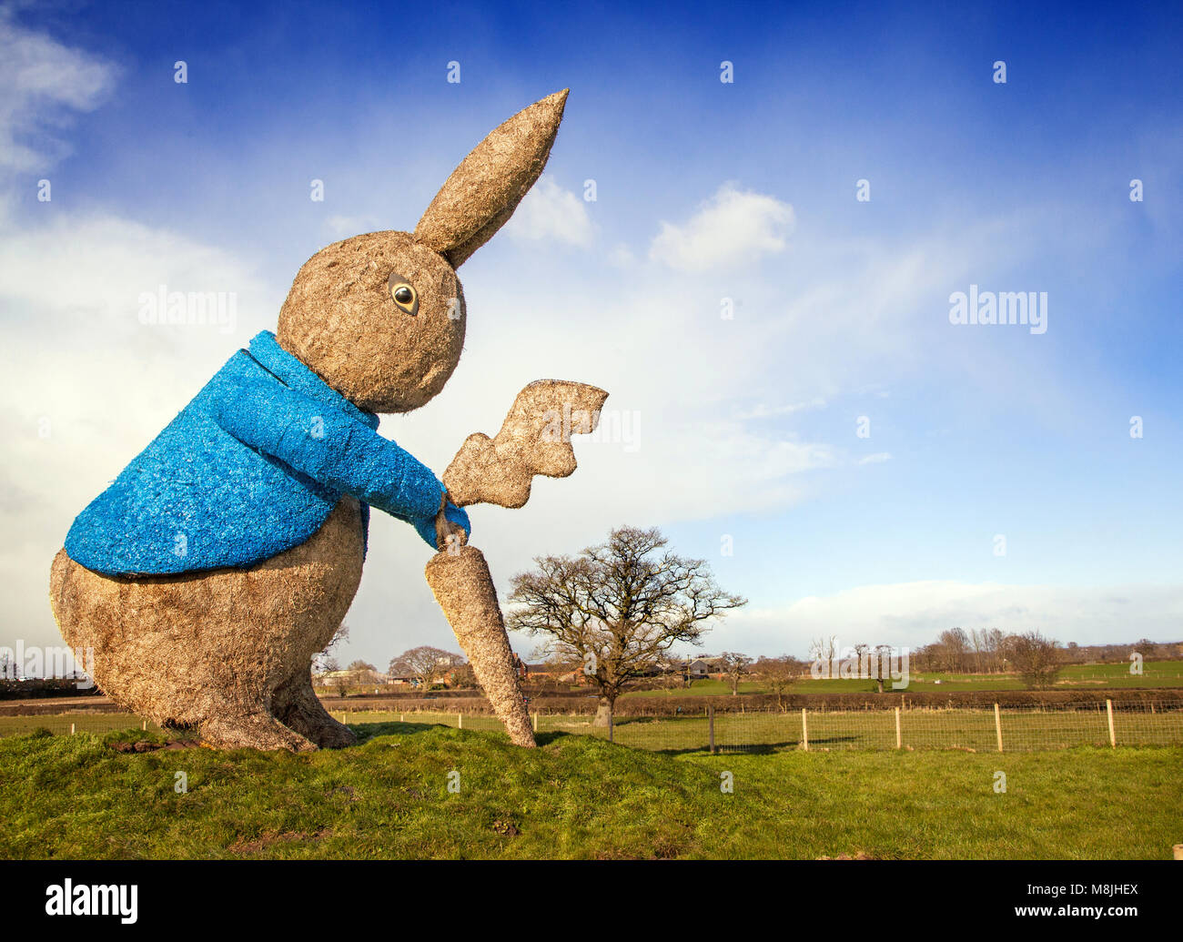 38 feet high Straw model of Beatrix Potters Peter Rabbit built to mark ...
