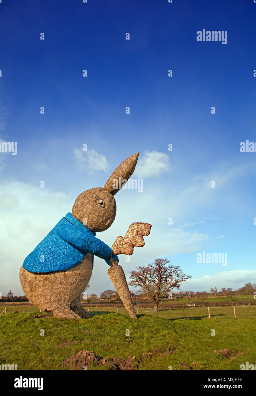 Beatrix Potter's Peter Rabbit High Resolution Stock Photography and ...