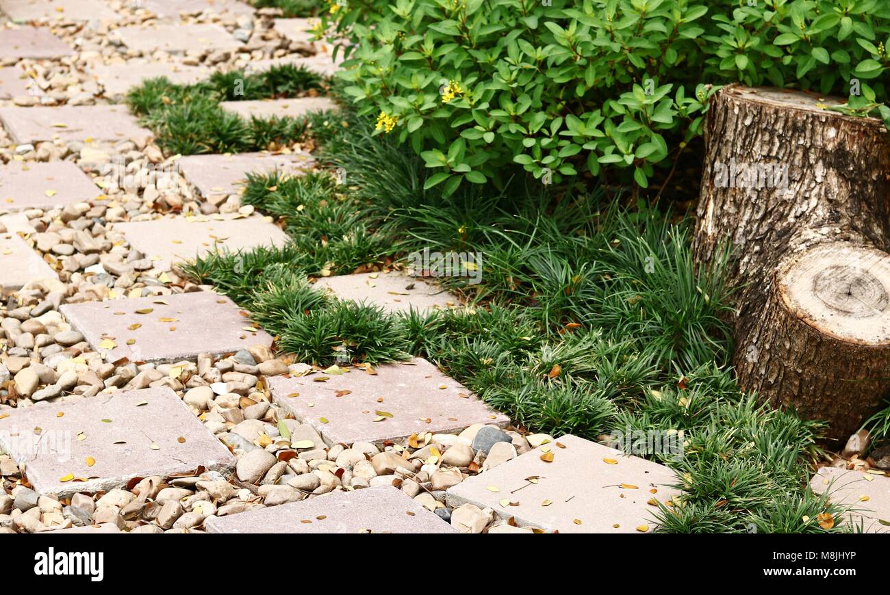 Gardening with trees, Stone Pathway in the Green Park Stock Photo - Alamy