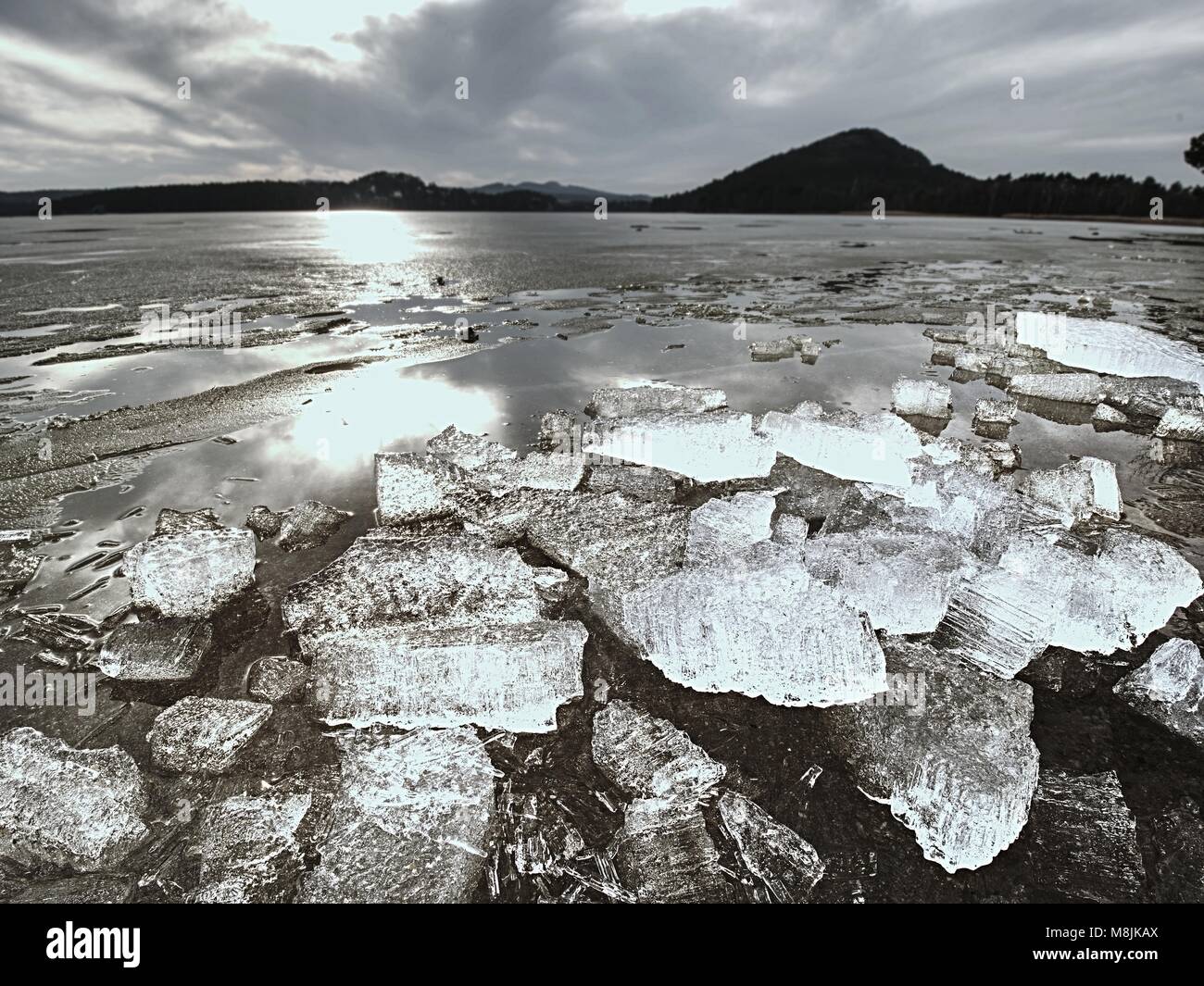 Ice melting in bay. Ice sheets floating on the water pool, sun reflect ...