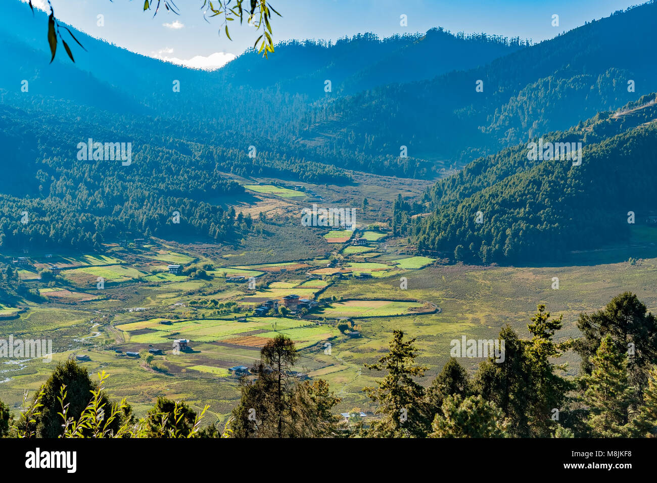 Phobjikha valley - Central Bhutan Stock Photo - Alamy