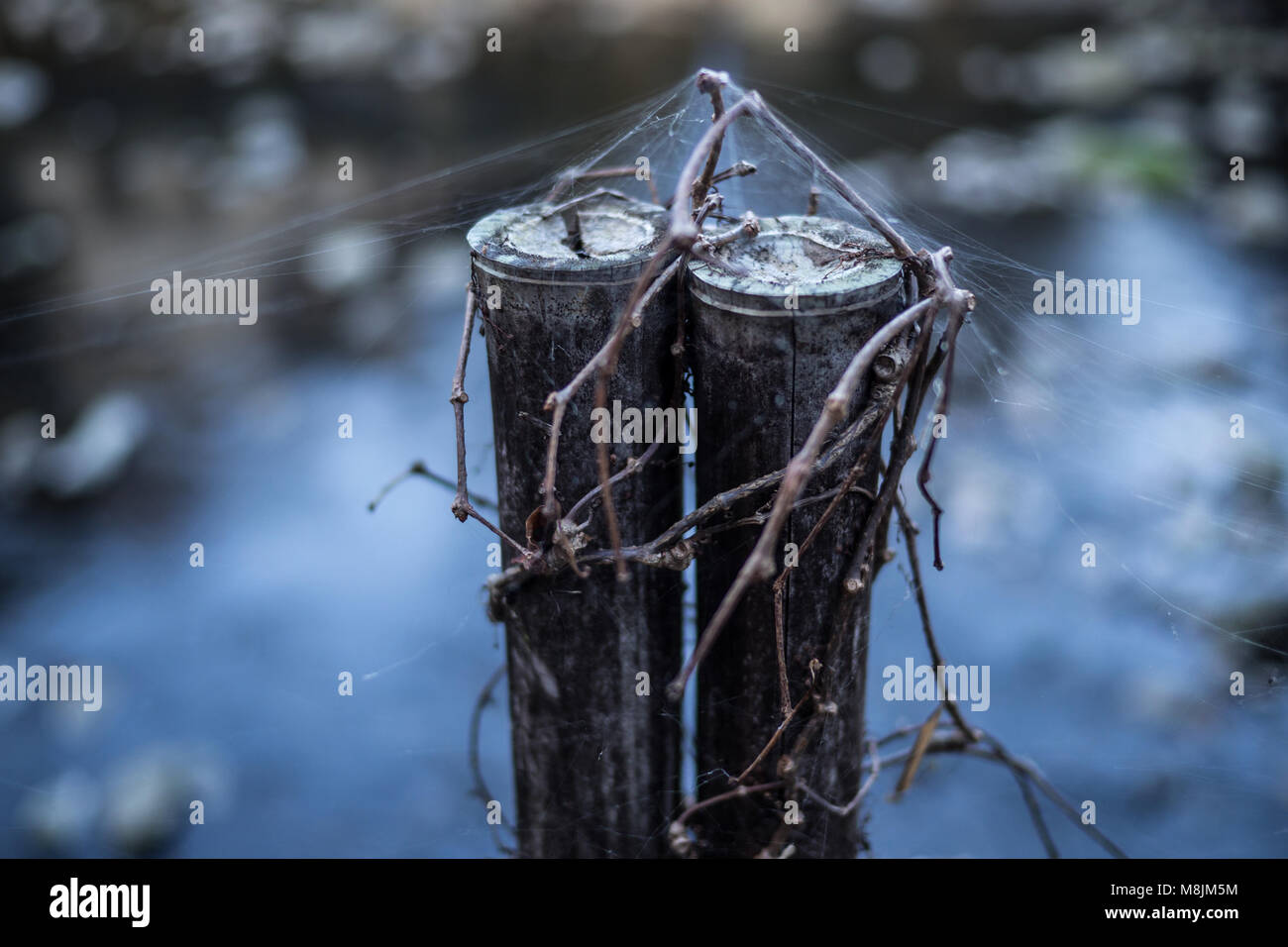 Sticks wrapped around a pole and spider webs Stock Photo - Alamy