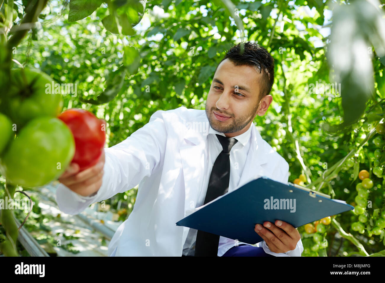 Agronomy engineer hi-res stock photography and images - Alamy