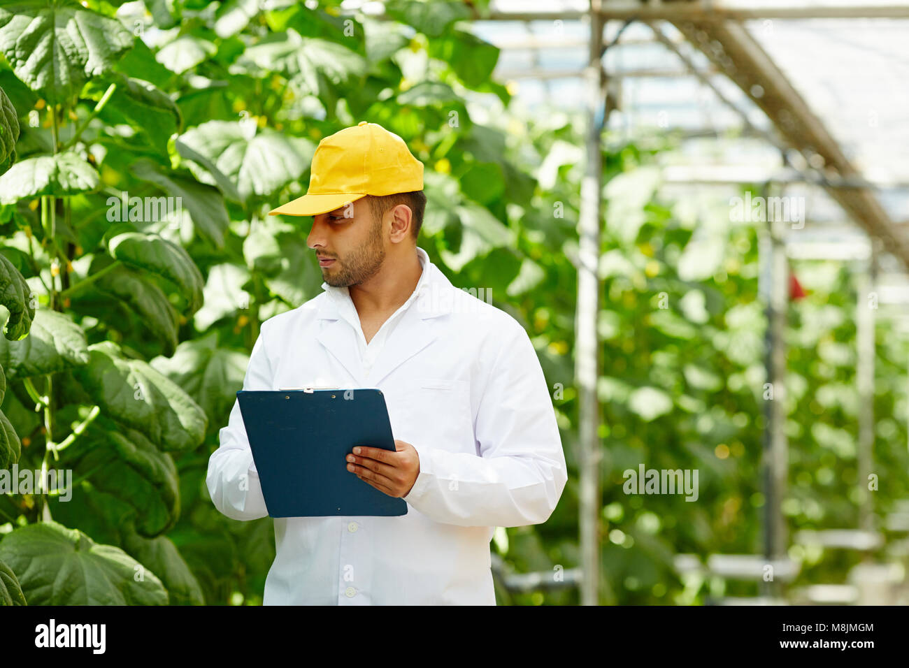 Studying plants hi-res stock photography and images - Alamy