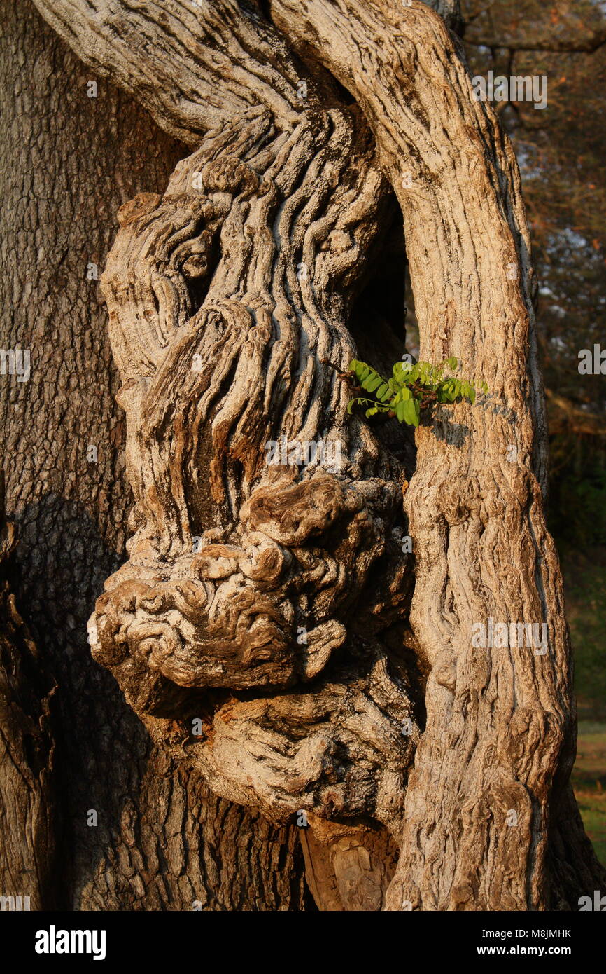 Why do you look so sad hi-res stock photography and images - Alamy