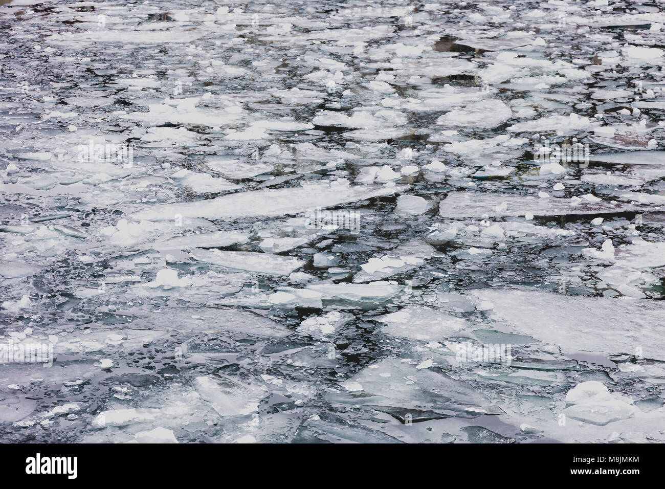 ice blocks floating over the water of a frozen river, background shot ...