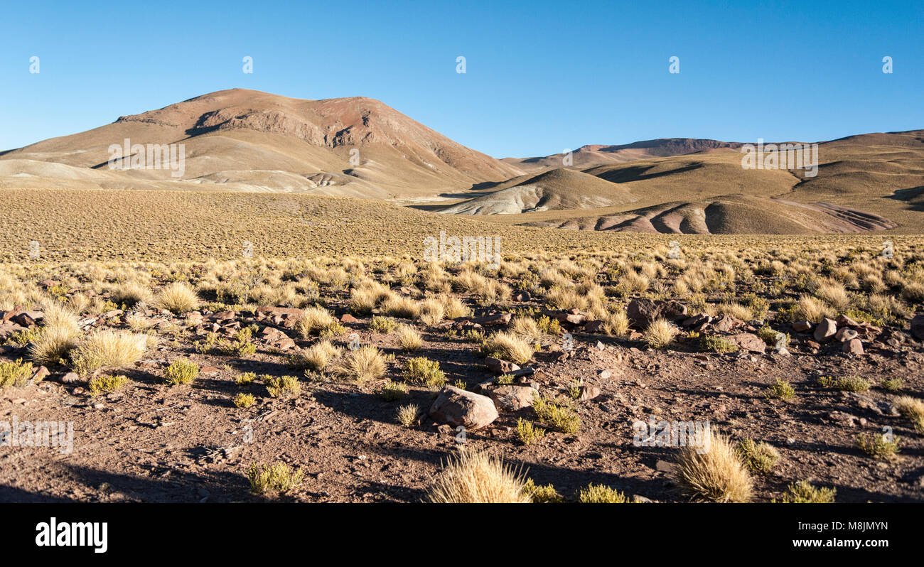 Laguna morejon hi-res stock photography and images - Alamy